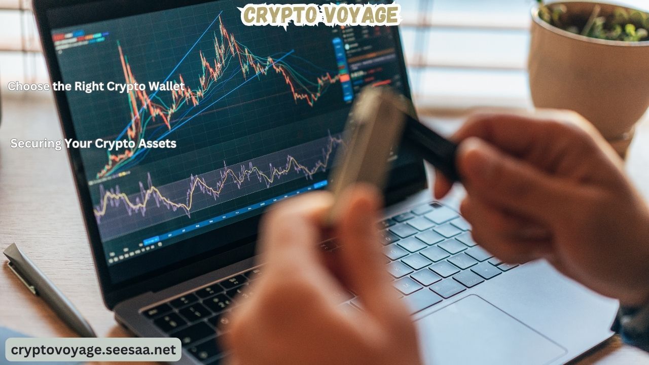 Decoding Crypto Wallets: Navigating the Future of Digital Currency